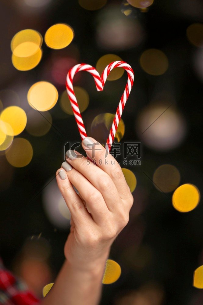 圣诞家居概念美丽的手指花卉背景高清摄影大图-千库网