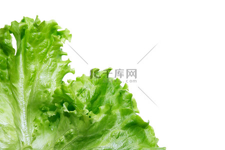 绿色生菜沙拉高清摄影大图-千库网