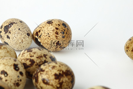 鹅蛋背景宏特写高清摄影大图-千库网