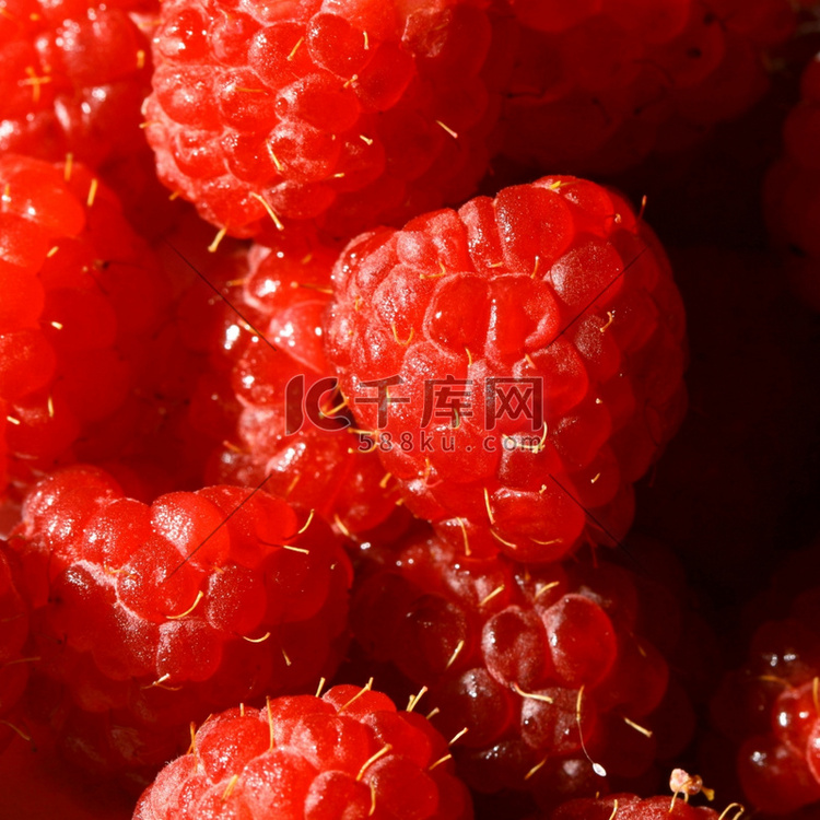红野树莓微距特写镜头高清摄影大图-千库网