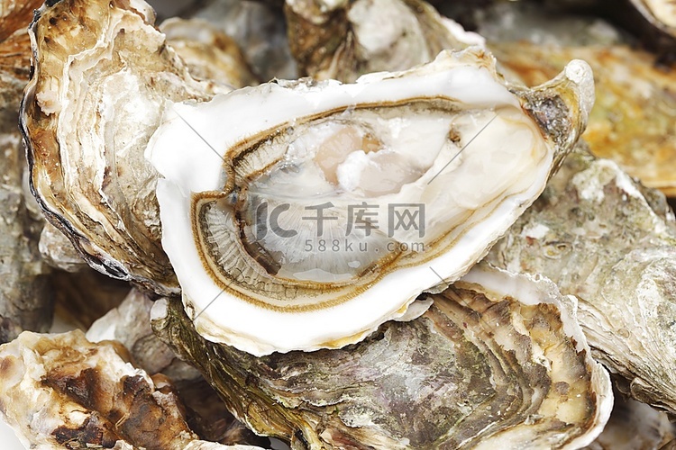 牡蛎背景高清摄影大图-千库网