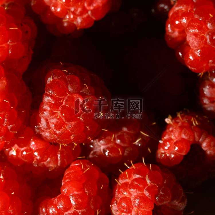 红野树莓微距特写镜头高清摄影大图-千库网