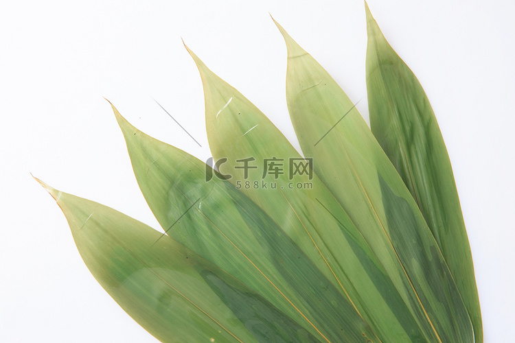 粽叶高清摄影大图-千库网