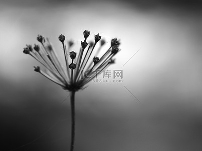 爆裂高清摄影大图-千库网