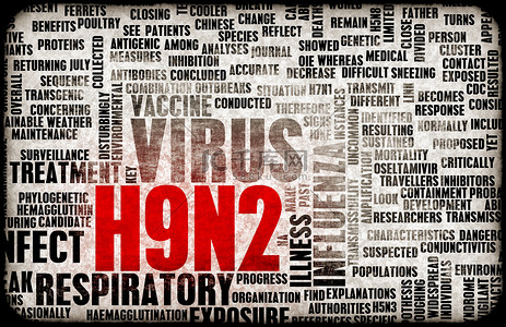 H9N2高清摄影大图-千库网