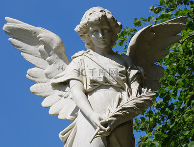 死亡天使高清摄影大图-千库网