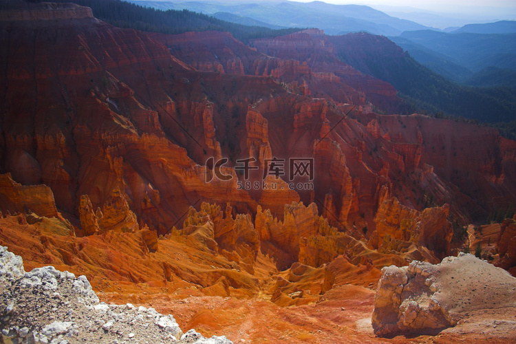 雪松休息高清摄影大图-千库网