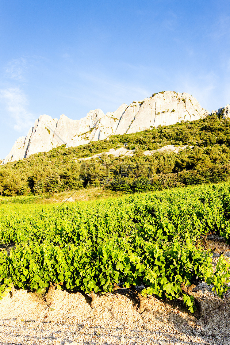 法国普罗旺斯 Col Du Cayron 的 Gigondas 附近的葡萄园高清摄影大图-千库网