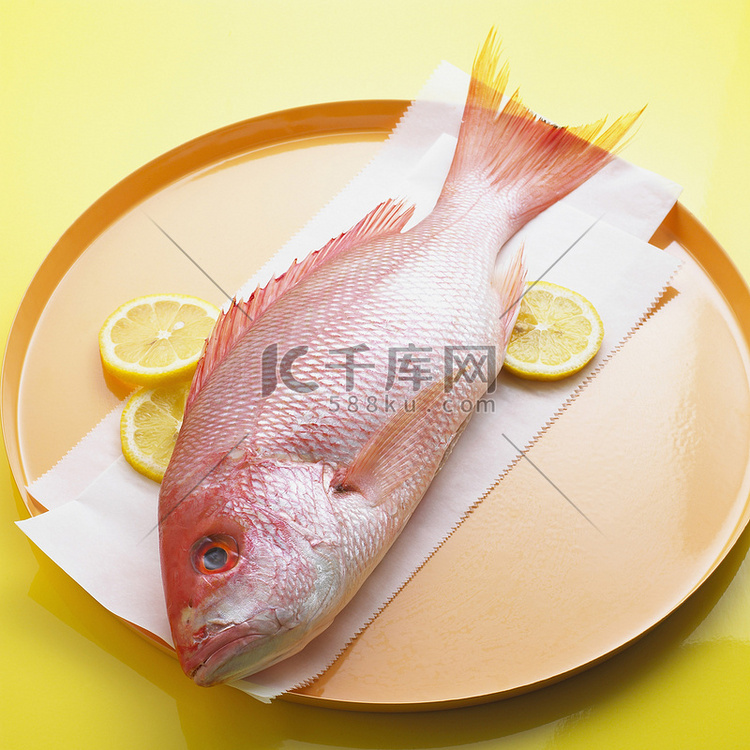 整条红鲷鱼高清摄影大图-千库网