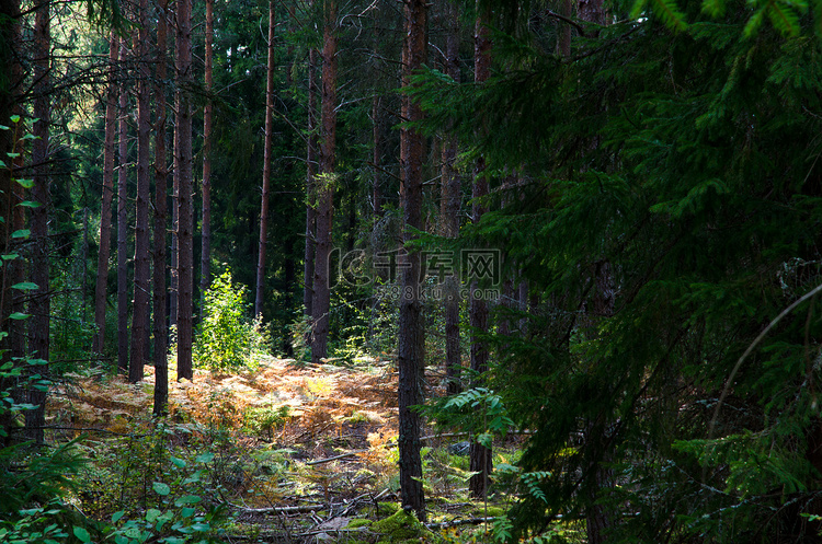 空地高清摄影大图-千库网