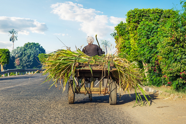 推车的埃及农民高清摄影大图-千库网