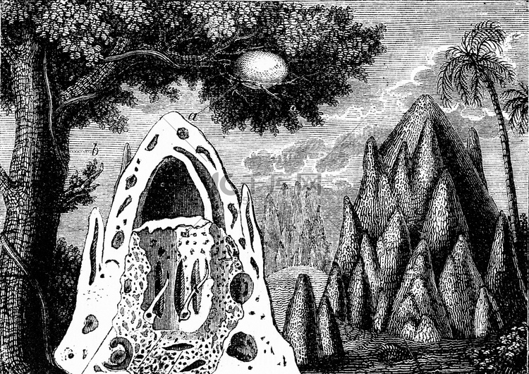 白蚁巢，复古雕刻。高清摄影大图-千库网