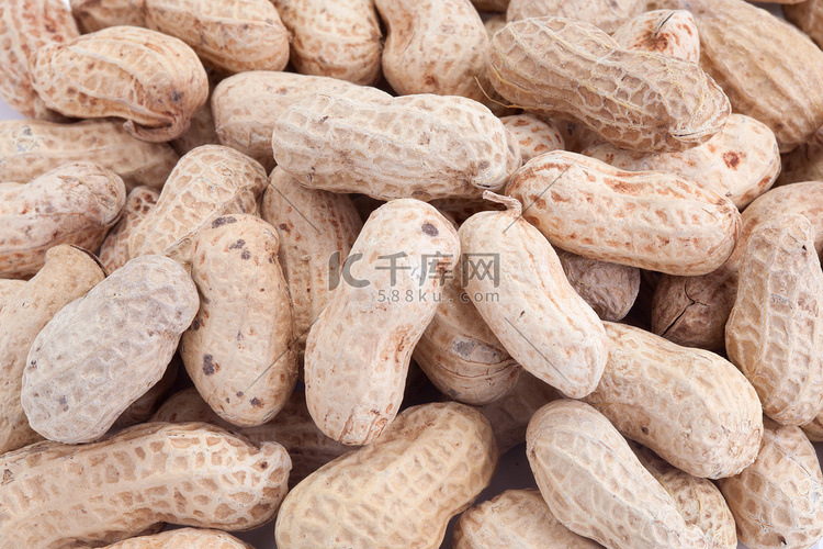 花生高清摄影大图-千库网