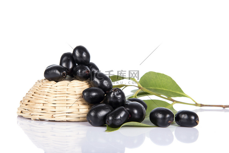Jambolan 李子或爪哇李子 (Syzygium cumini)高清摄影大图-千库网