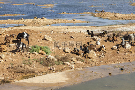 阿尤恩的 Saguia el Hamra 河高清摄影大图-千库网