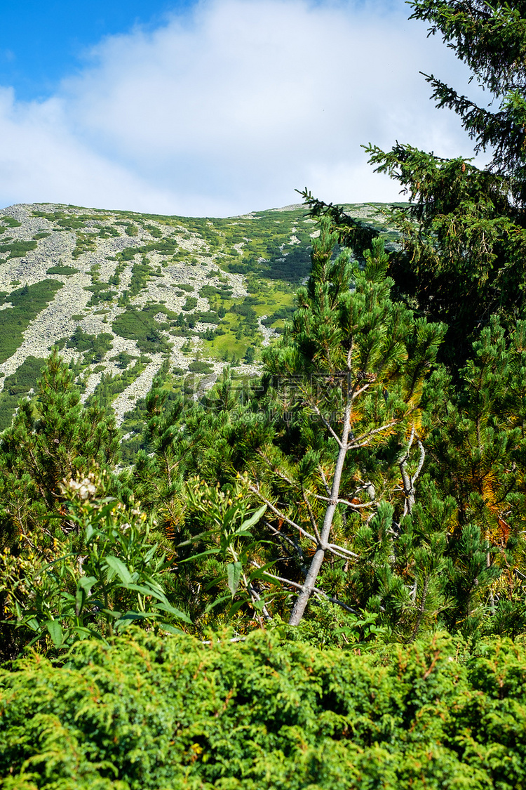 俯瞰罗马尼亚野生 Retezat 国家公园高清摄影大图-千库网