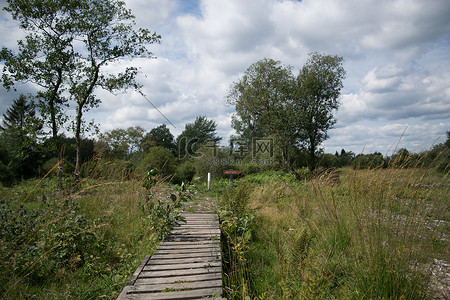 High Fens，Hautes Fagnes，在埃菲尔国家公园高清摄影大图-千库网