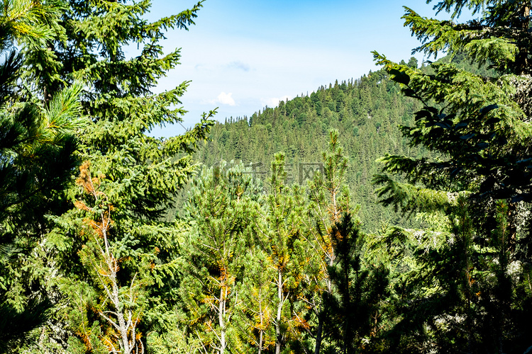 俯瞰罗马尼亚野生 Retezat 国家公园高清摄影大图-千库网