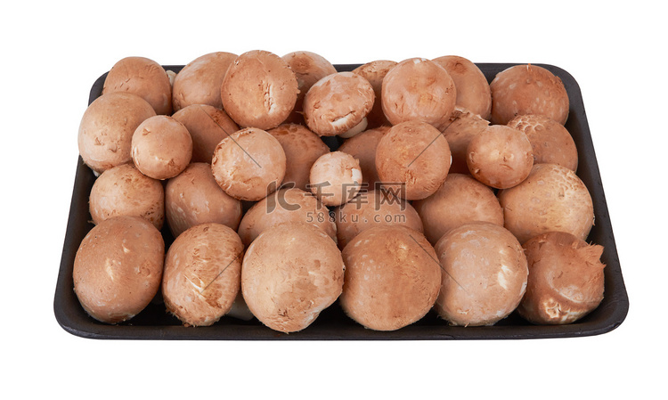 孤立的棕色蘑菇高清摄影大图-千库网