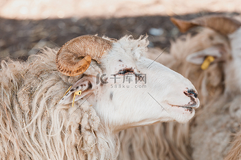 tup图片-tup素材-tup模板图片下载-千库网