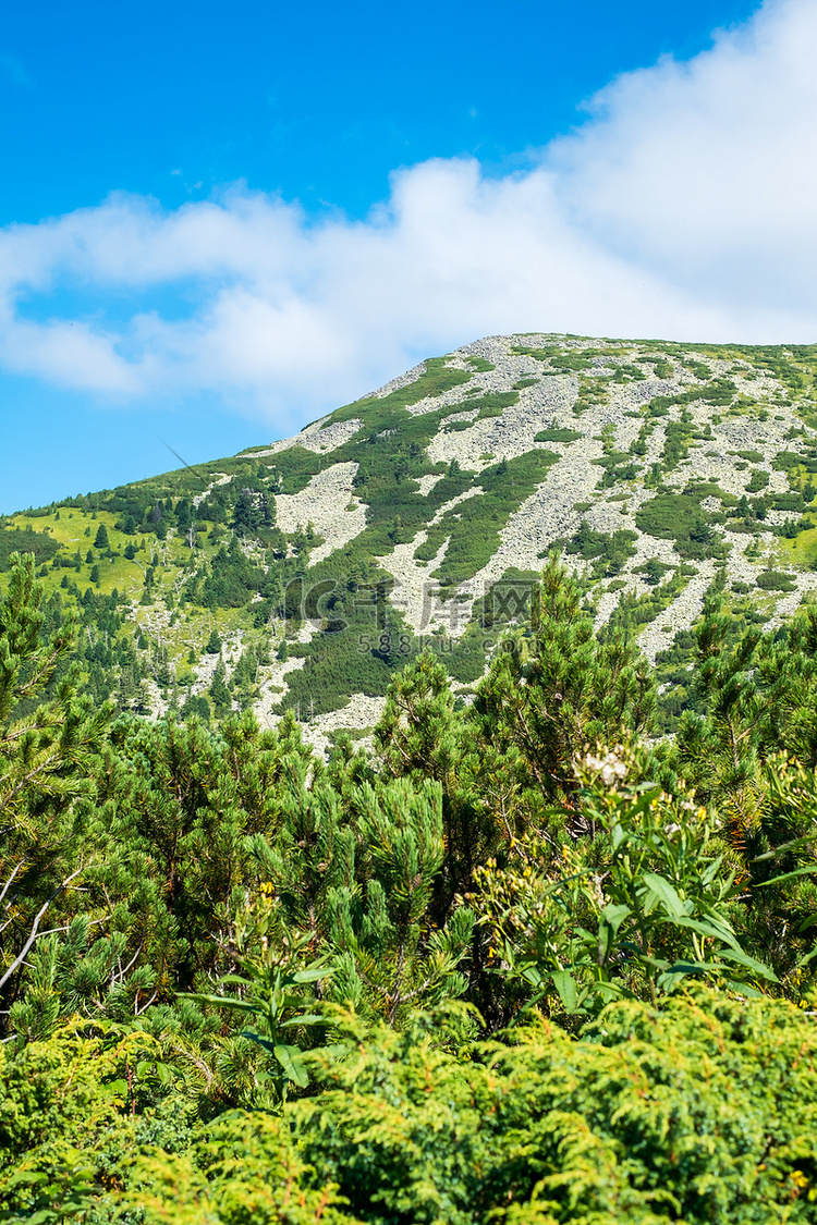 俯瞰罗马尼亚野生 Retezat 国家公园高清摄影大图-千库网