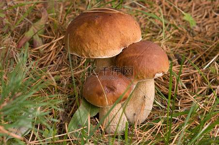 三个 cep。高清摄影大图-千库网