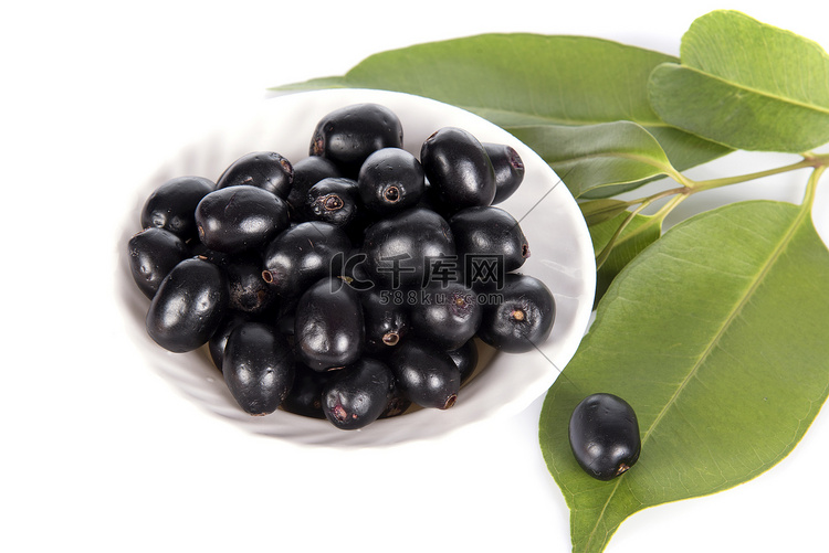 Jambolan 李子或爪哇李子 (Syzygium cumini)高清摄影大图-千库网