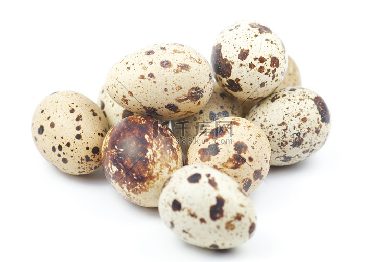 鹌鹑蛋高清摄影大图-千库网