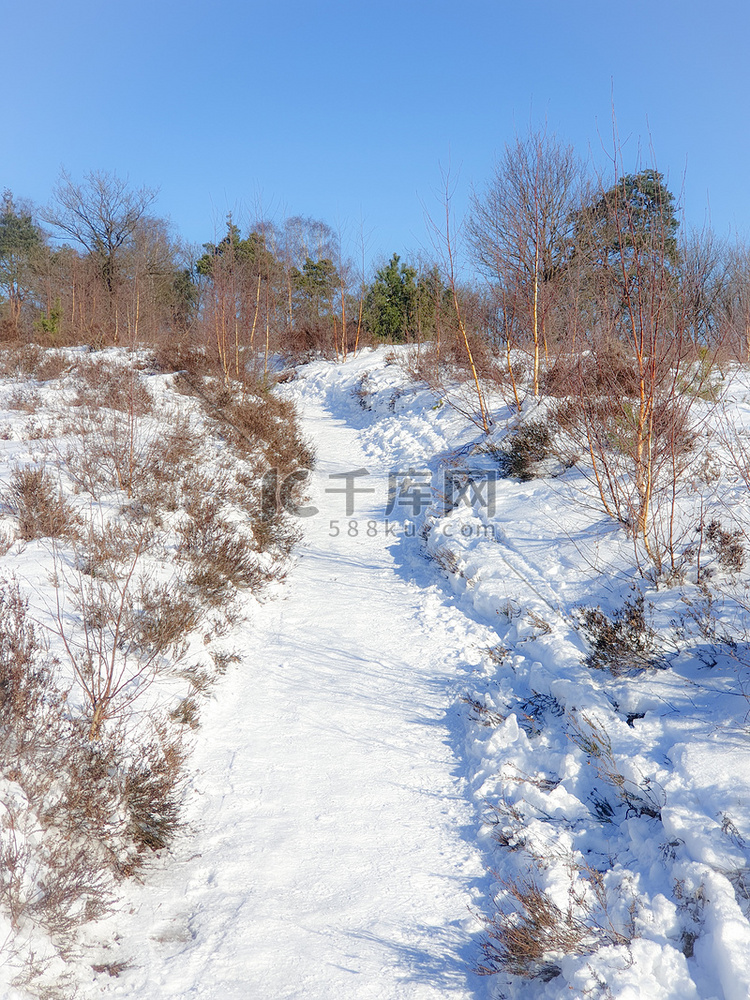 Holterberg Holten Overijssel 在荷兰冬季天气期间覆盖的 Sallandse Heuvelrug 自然公园雪高清摄影 ...
