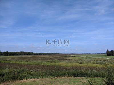 Overijssel 的 Muggenbeet 周围的景观高清摄影大图-千库网