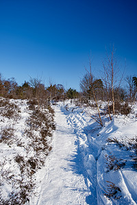snwo 覆盖了 Sallandse Heuvelrug 的山丘，荷兰 Holten 附近的 Holterberg 的风景高清摄影大图-千库网