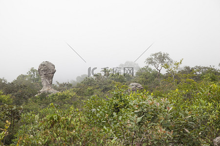 塔顿公园高清摄影大图-千库网