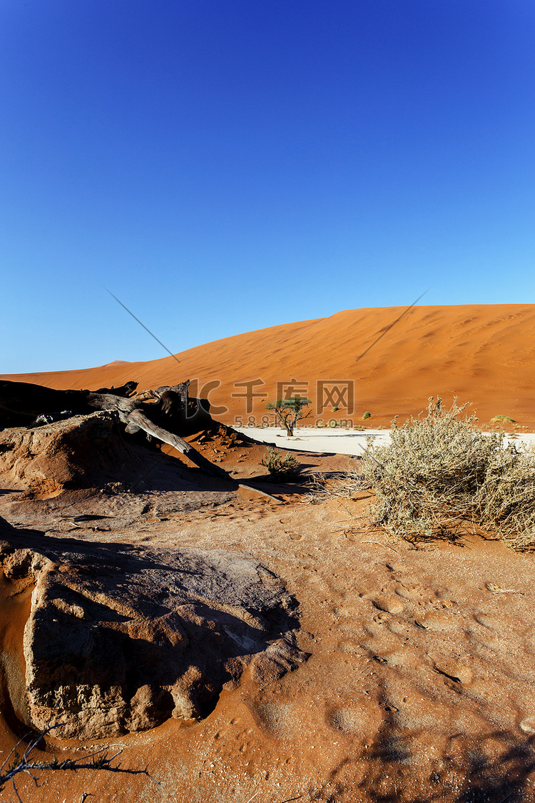 纳米布沙漠 Hidden Vlei 的美丽风景高清摄影大图-千库网