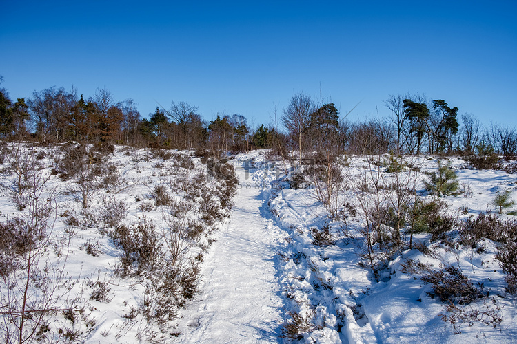 snwo 覆盖了 Sallandse Heuvelrug 的山丘，荷兰 Holten 附近的 Holterberg 的风景高清摄影大图-千库网