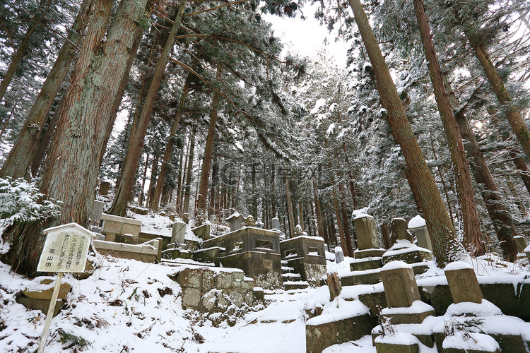 美丽的冬季森林（日本墓地）高清摄影大图-千库网