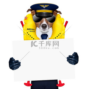 领航犬高清摄影大图-千库网