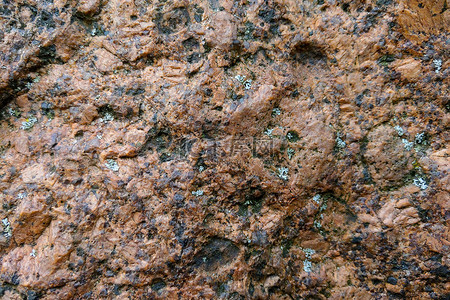 在一块大红色石头上的特写镜头。高清摄影大图-千库网