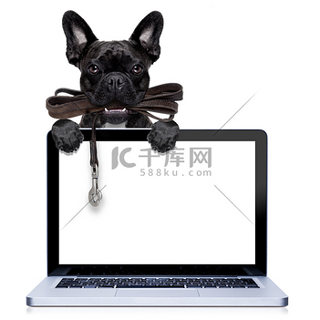 狗go图片-狗go素材-狗go模板图片下载-千库网