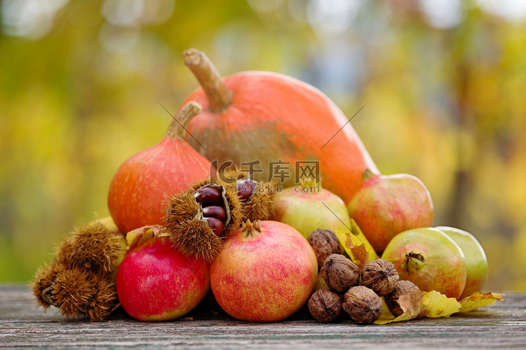 秋天的果实高清摄影大图-千库网