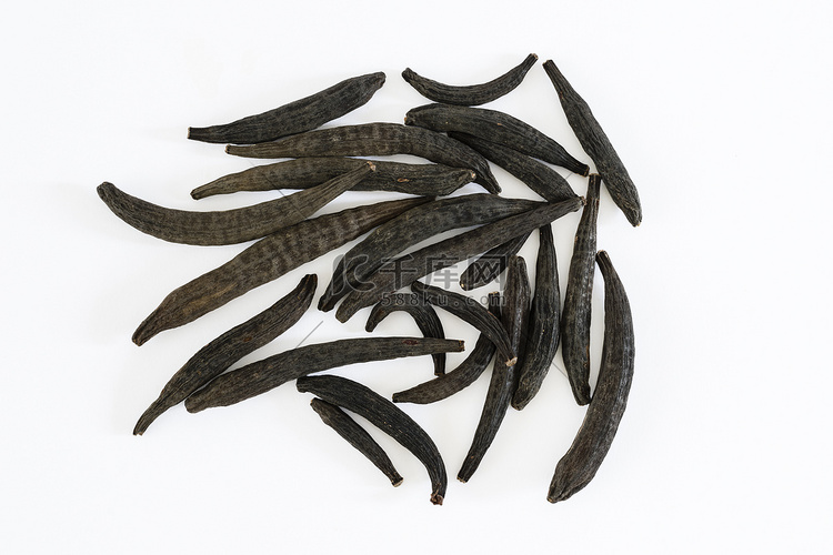 干木棉芽或马拉地语 Moggu高清摄影大图-千库网