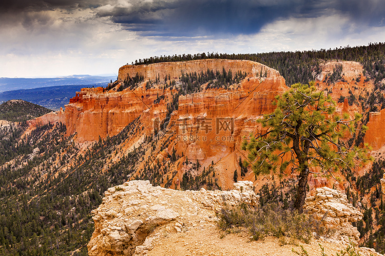 Hoodoos 树 Bryce Point 布莱斯峡谷国家公园 犹他州高清摄影大图-千库网