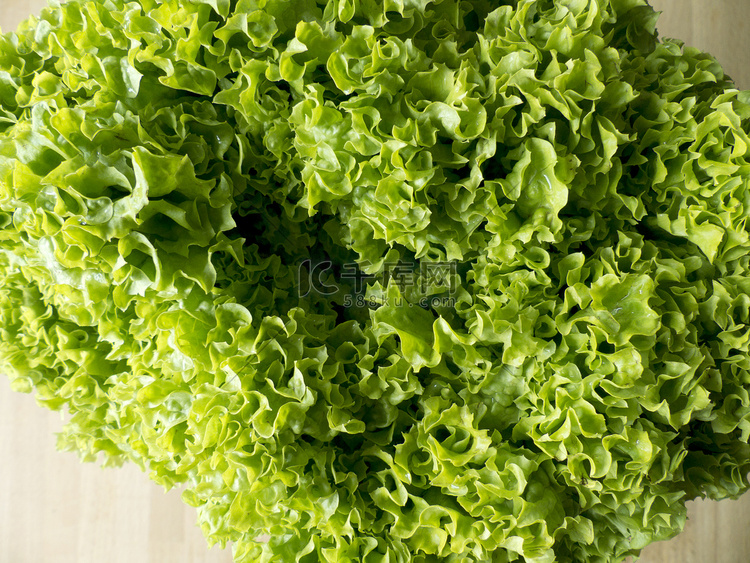 洛洛比昂达高清摄影大图-千库网