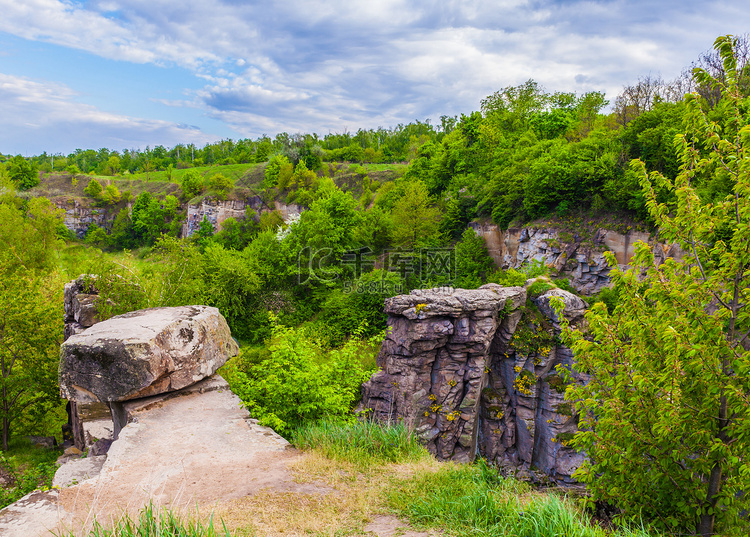 绿色森林景观高清摄影大图-千库网