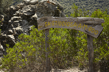 sa标志图片-sa标志素材-sa标志模板图片下载-千库网