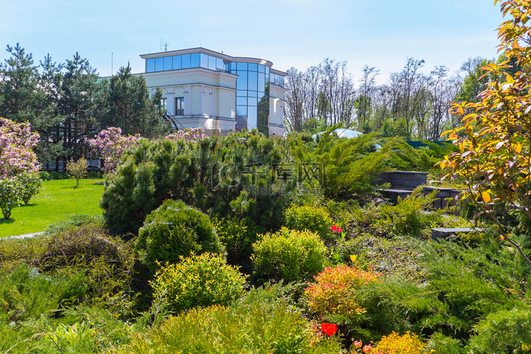 有小花和装饰性绿色灌木的花坛 agai高清摄影大图-千库网