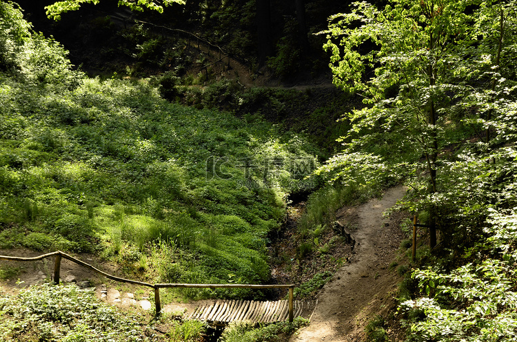 Bad Muskau - 公园 - 人行道高清摄影大图-千库网