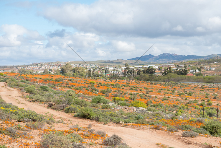 前面有野花的 Garies 视图高清摄影大图-千库网
