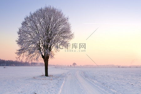 孤独的站立日落冬天树高清摄影大图-千库网