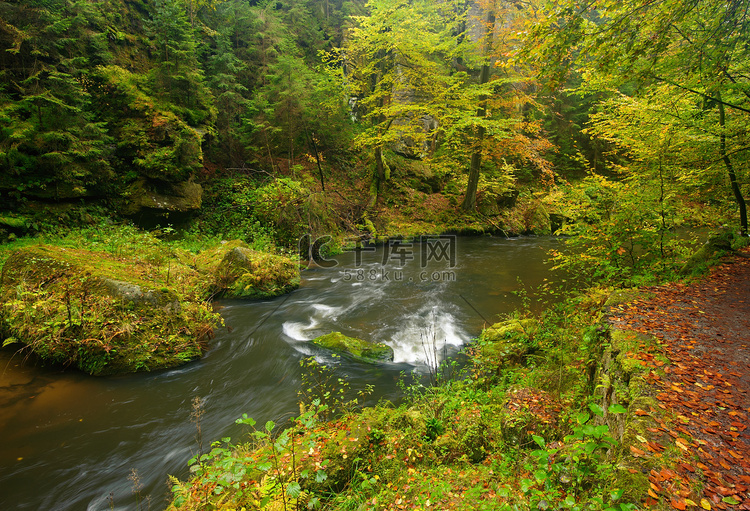一条美丽的河流流动的秋季森林高清摄影大图-千库网