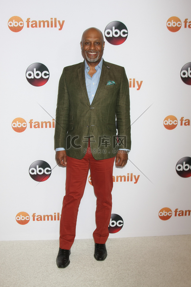, James Pickens Jr 在 ABC TCA 2015 年夏季新闻巡演派对上，贝弗利希尔顿酒店，比佛利山庄，加利福尼亚州 08 ...